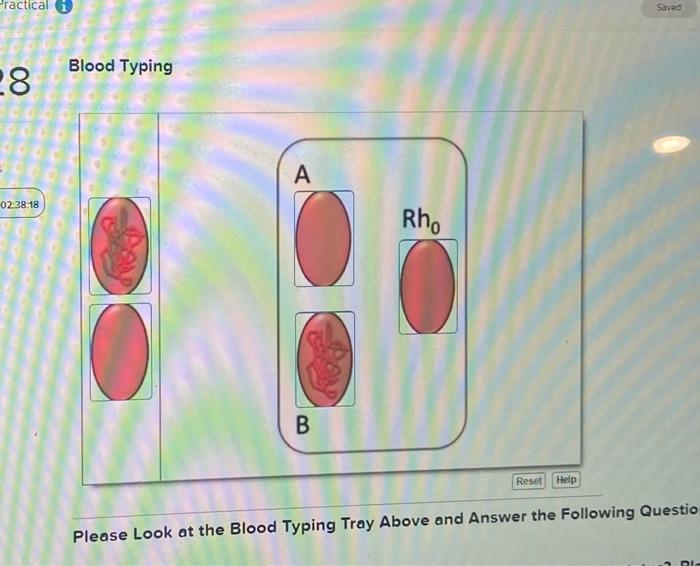 Solved Practical Saved Blood Typing 28 A 0238.18 Rho B. | Chegg.com