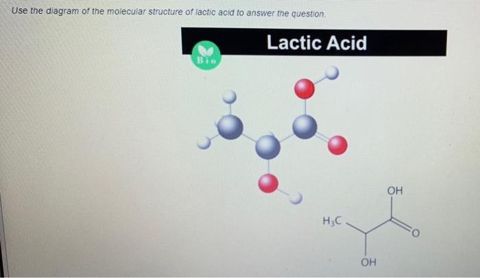 Solved Use the diagram of the molecular structure of lactic | Chegg.com