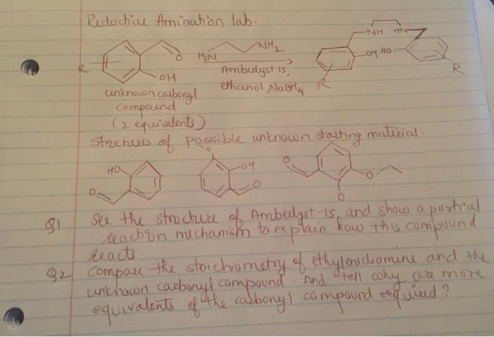 Solved Reductive Amination lab. -NH HN MEN -oft to R OH | Chegg.com