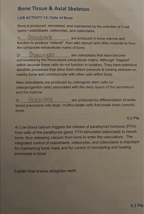 Solved Bone Tissue & Axial Skeleton LAB ACTIVITY 13: Cells | Chegg.com
