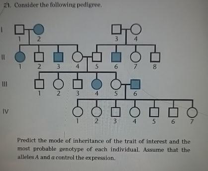 Solved Consider the following pedigree.IIIIVPredict the mode | Chegg.com