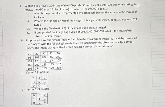 Solved a. Suppose you have a 2D image of size 300 pixels (50 | Chegg.com