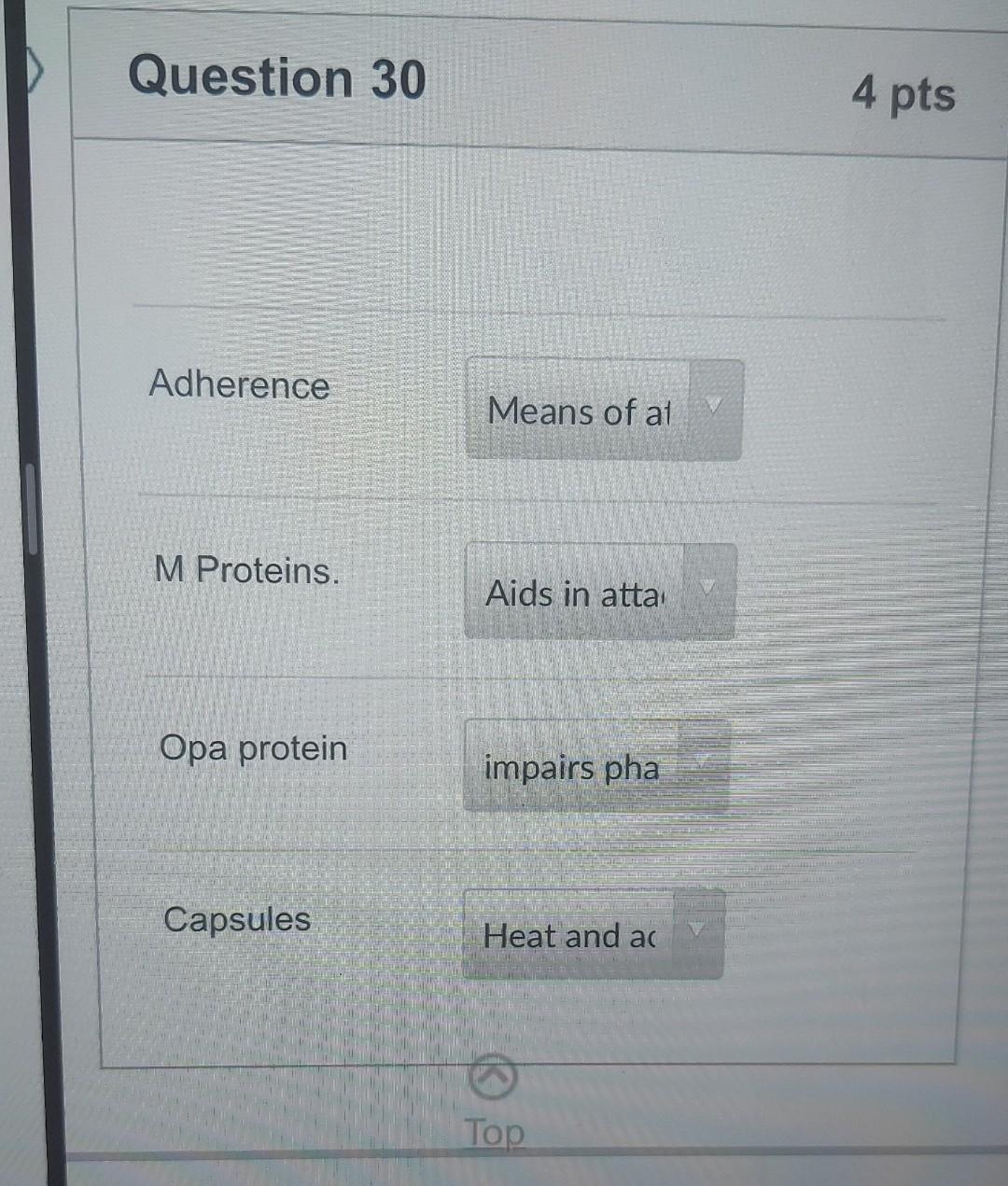 Solved Question 30 4 pts Adherence Means of at M Proteins. | Chegg.com