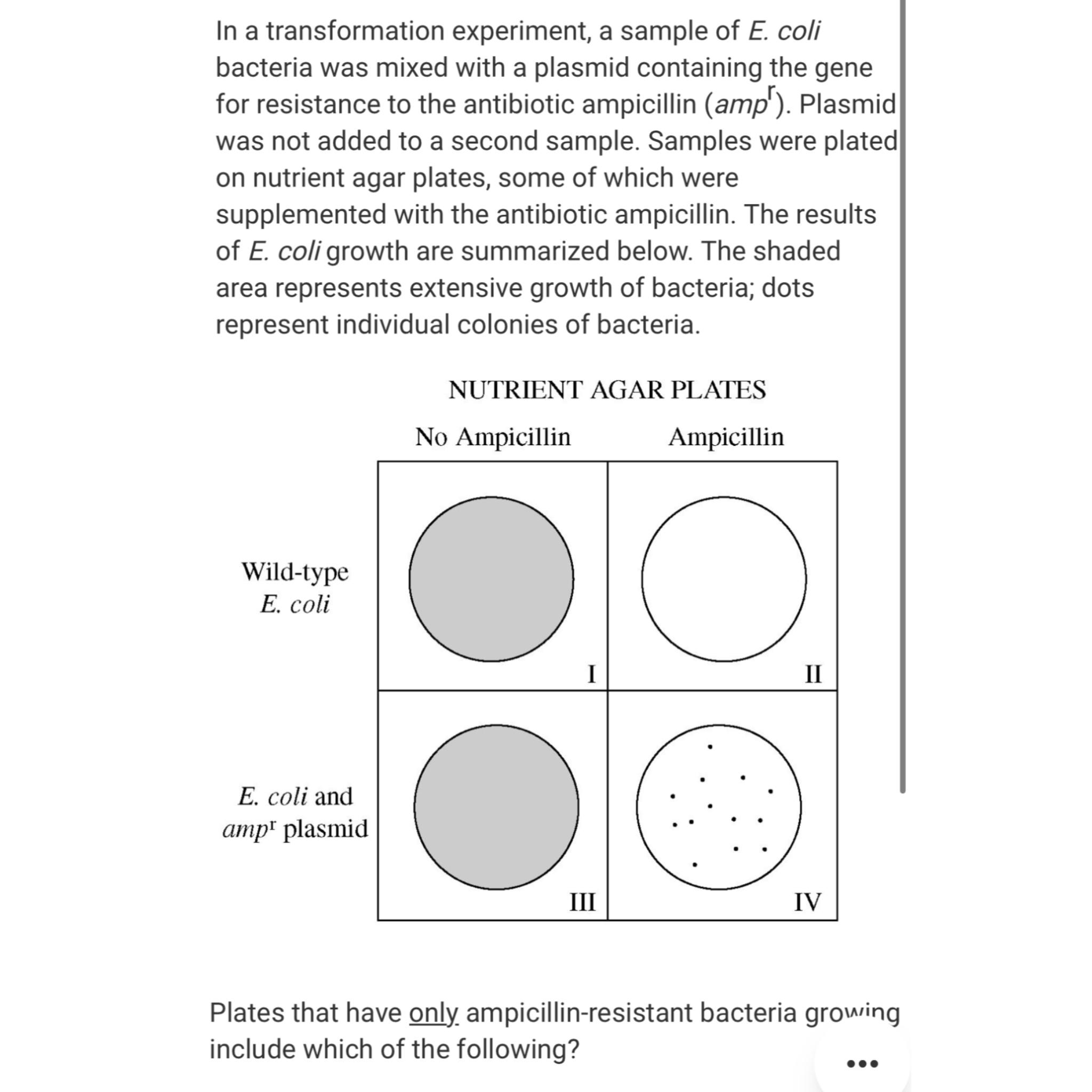 Solved In a transformation experiment, a sample of E. ﻿coli | Chegg.com
