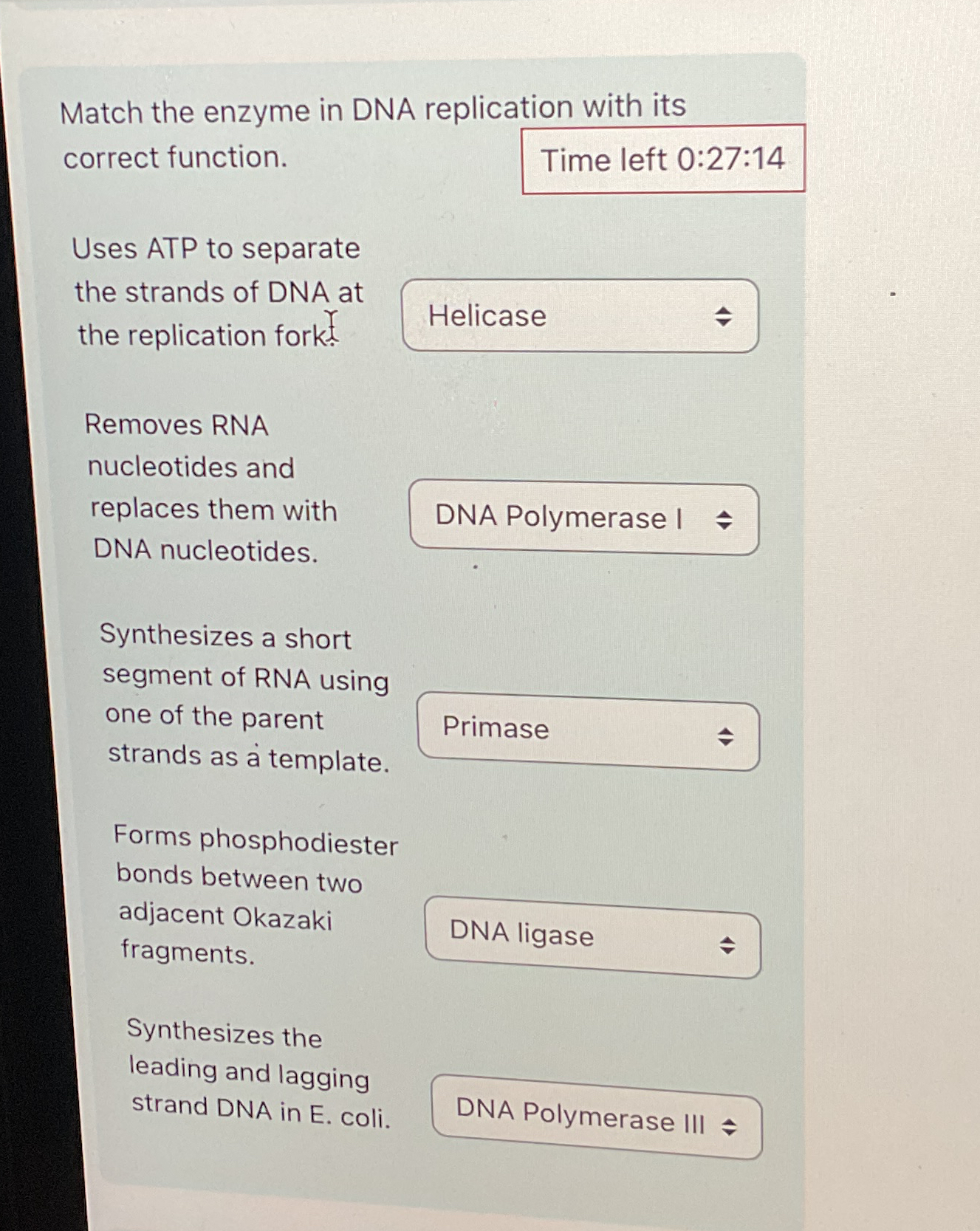 Solved Match the enzyme in DNA replication with its correct | Chegg.com