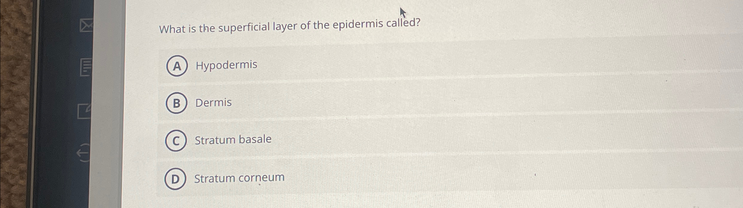 Solved What is the superficial layer of the epidermis | Chegg.com