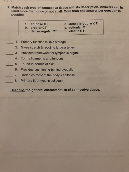 Solved D. Match each type of connective tissue with its | Chegg.com