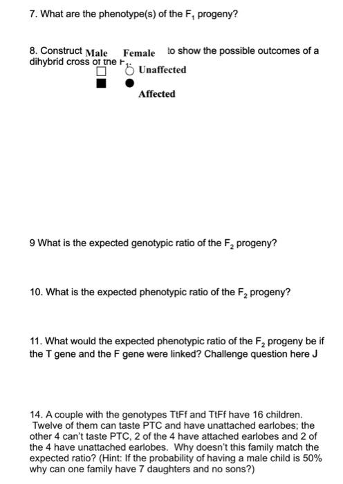 Solved 7. What are the phenotype(s) of the F1 progeny? 8. | Chegg.com
