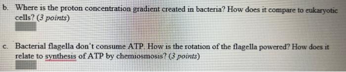 Solved Where is the proton concentration gradient created in | Chegg.com