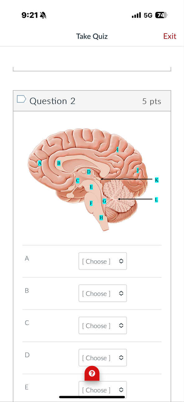 Match the words with the letters | Chegg.com