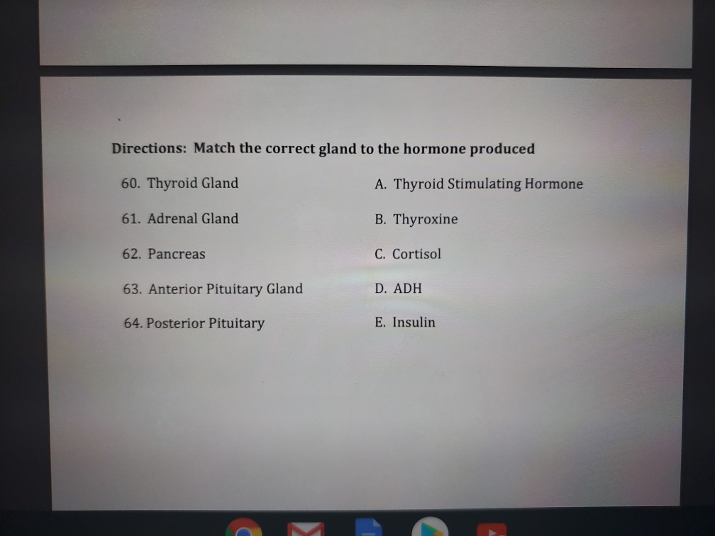 Solved Directions: Identify the numbered structure. 53 54 | Chegg.com