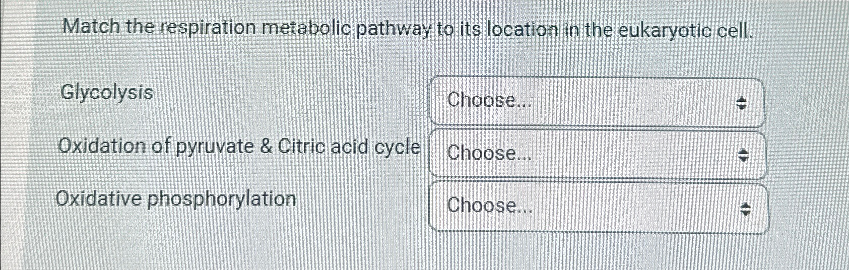 Solved Match the respiration metabolic pathway to its | Chegg.com