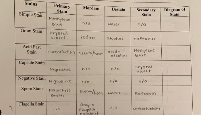 Solved Stains Mordant Destain Simple Stain Primary Stain | Chegg.com