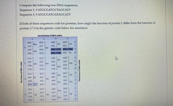 Solved Compare the following two DNA sequences. Sequence 1: | Chegg.com