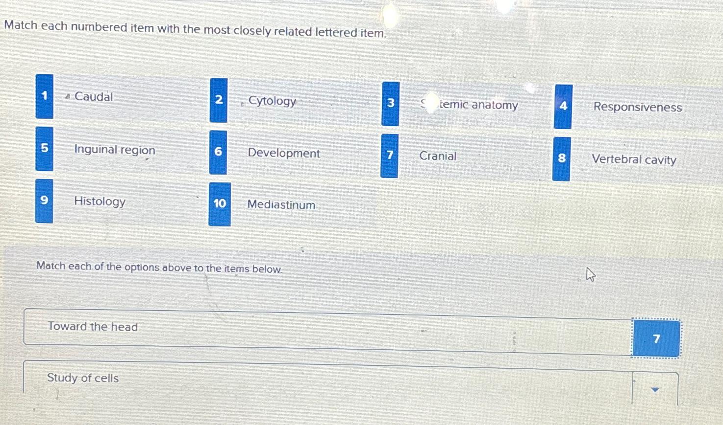 Solved Match each numbered item with the most closely | Chegg.com