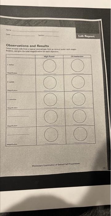 Observations and Results | Chegg.com