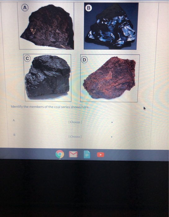 Solved B (C [Choose] Lignite Peat Identify the members of | Chegg.com