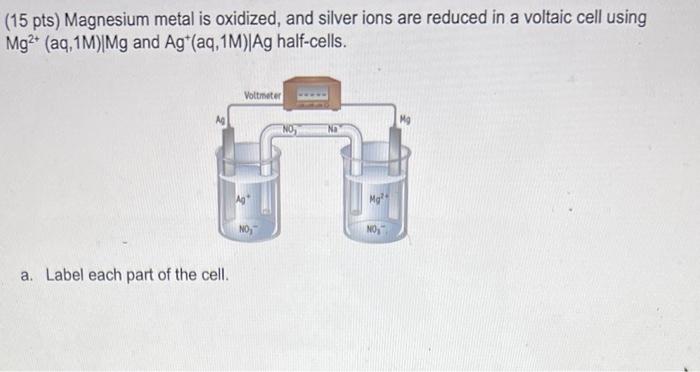 Solved (15 pts) Magnesium metal is oxidized, and silver ions | Chegg.com