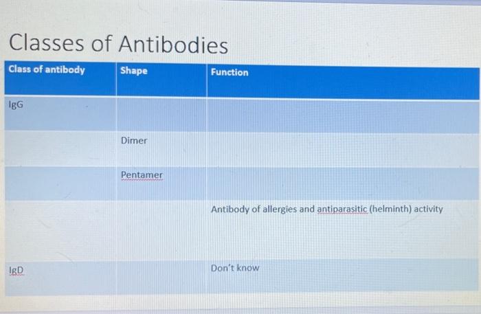 Solved Classes of Antibodies Class of antibody Shape | Chegg.com