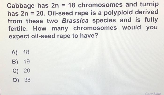 Solved Cabbage has 2n=18 chromosomes and turnip has 2n=20. | Chegg.com