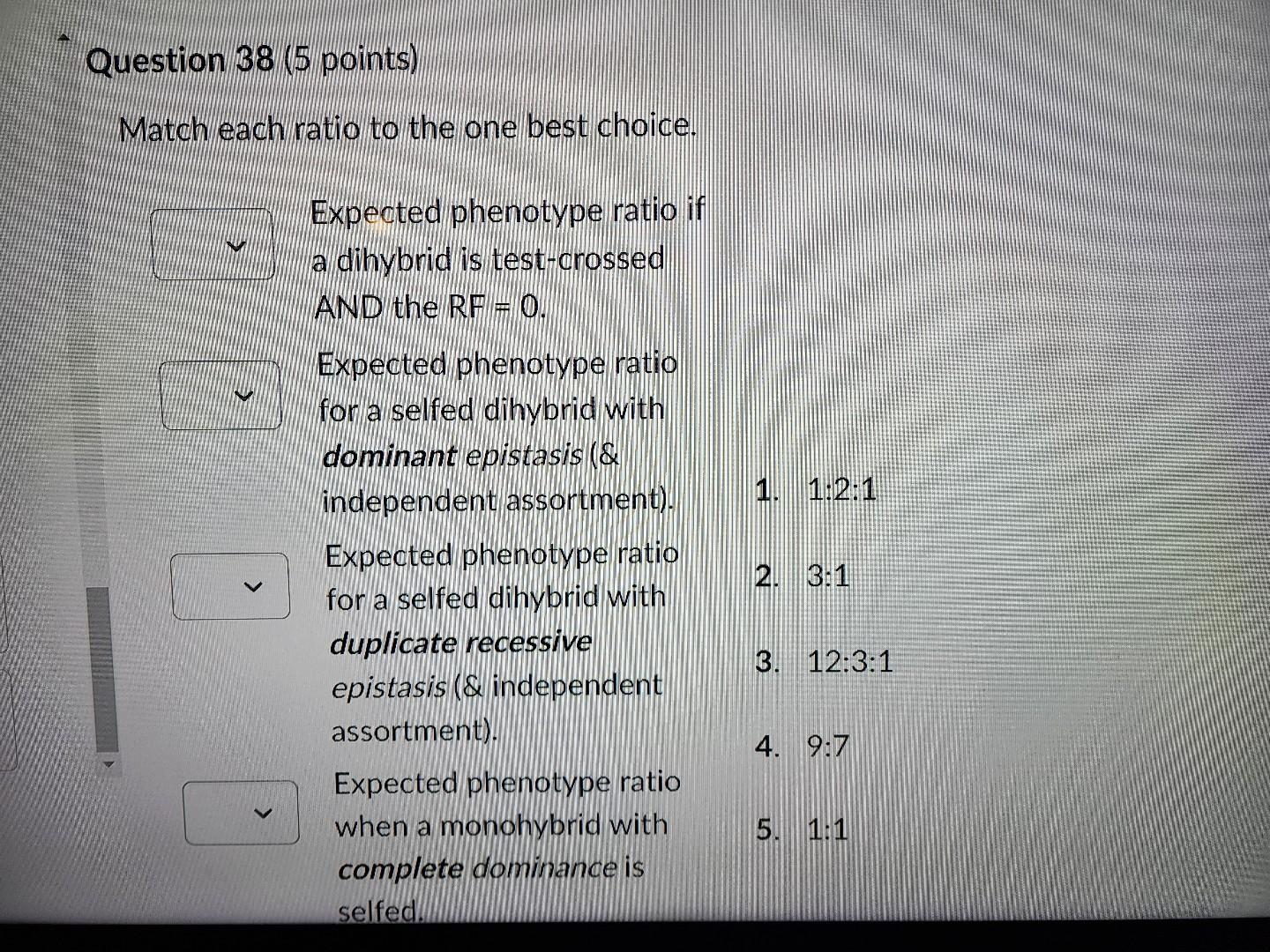 Solved Question 38 ( 5 points) Match each ratio to the one | Chegg.com