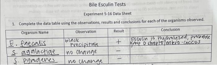 Solved Bile Esculin Tests Experiment 5-16 Data Sheet 1. | Chegg.com