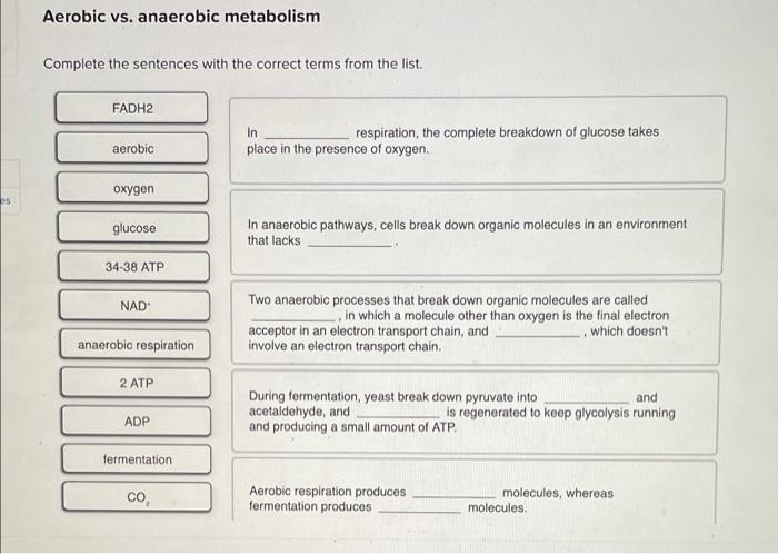 Solved Aerobic vs. anaerobic metabolism Complete the | Chegg.com