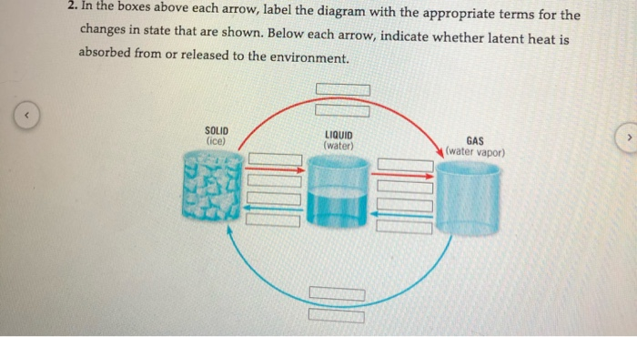 Solved 2. In the boxes above each arrow, label the diagram | Chegg.com