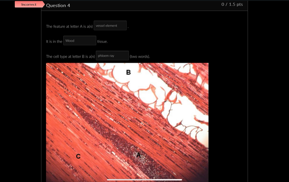 Solved I provided the lab word bank if thats helpful. Thank | Chegg.com