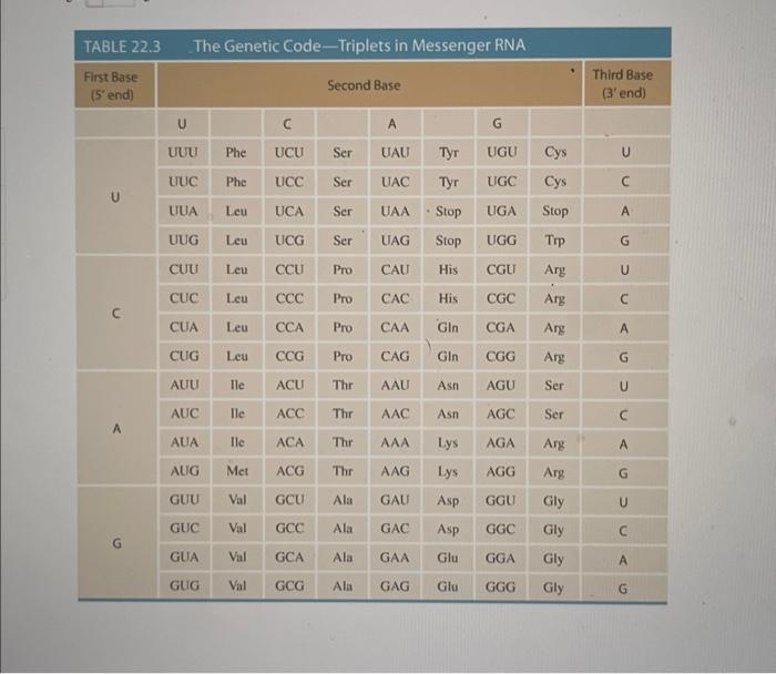 Solved Write a possible mRNA sequence that codes for each | Chegg.com