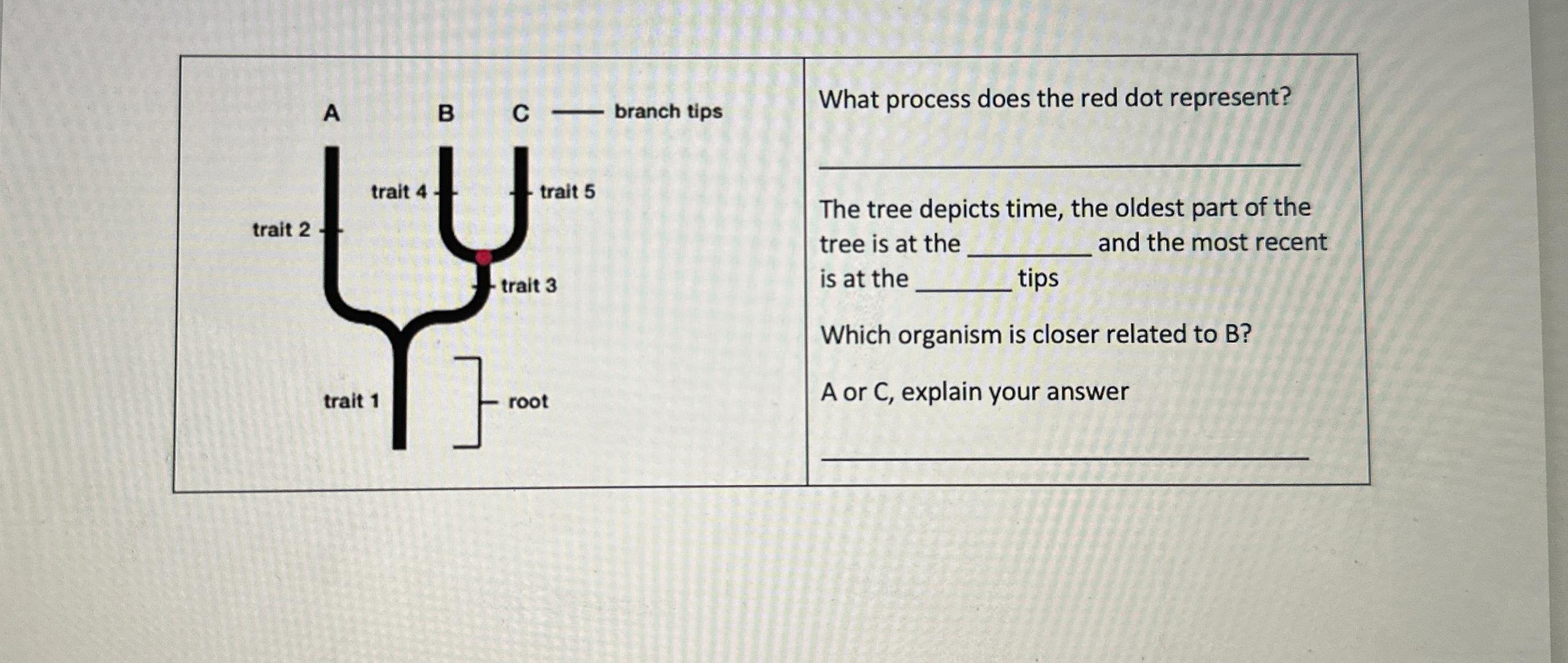 Please comple the following questions. | Chegg.com