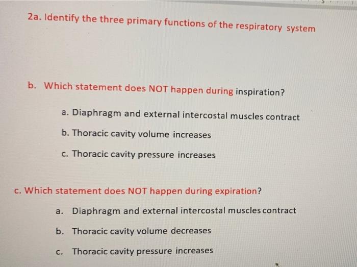 Solved 2a. Identify the three primary functions of the | Chegg.com
