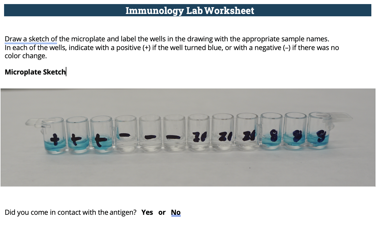 Did you come in contact with the antigen? Yes or | Chegg.com