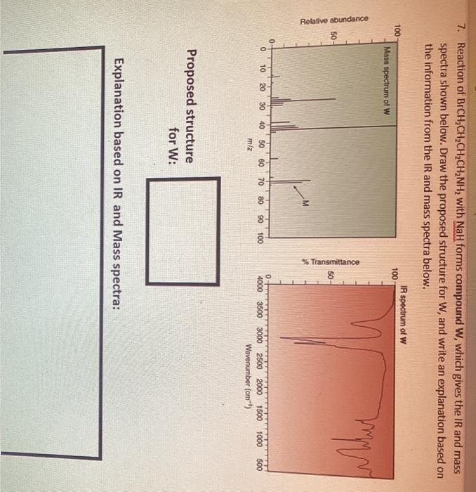 Solved 7. Reaction of BrCH2CH2CH2CH2NH2 with NaH forms | Chegg.com