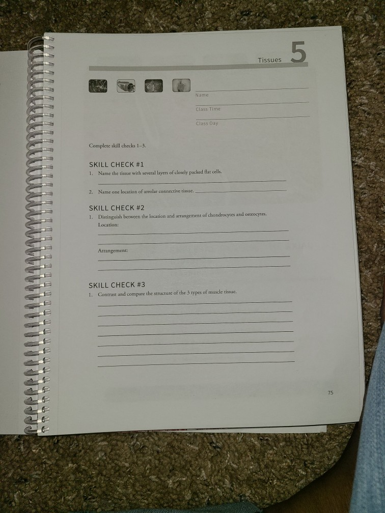 Solved 5 Tissues Name Class Time Class Day Complete skill | Chegg.com