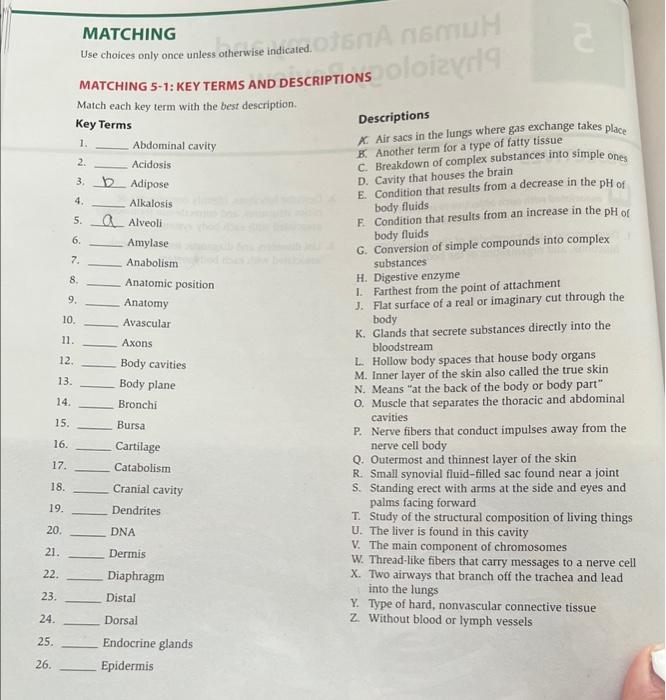 Solved 26. MATCHING 2 Use choices only once unless otherwise | Chegg.com