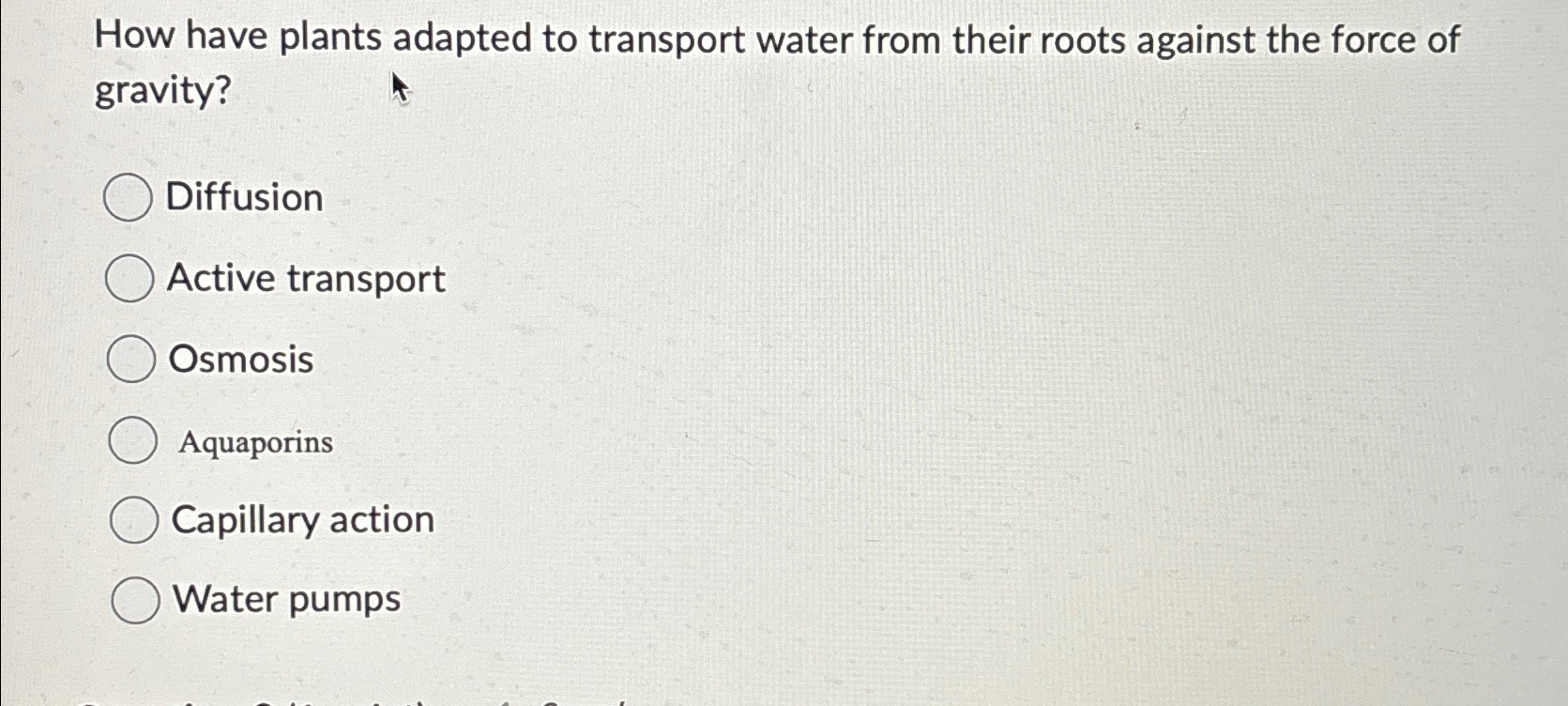 Solved How have plants adapted to transport water from their | Chegg.com