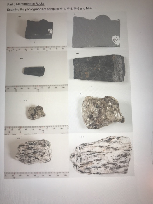 Part 3 Metamorphic Rocks Examine the photographs of | Chegg.com