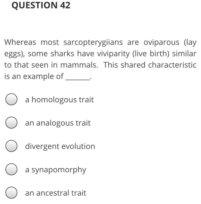 Solved QUESTION 40 Having is a synapomorphy of bilaterians. | Chegg.com