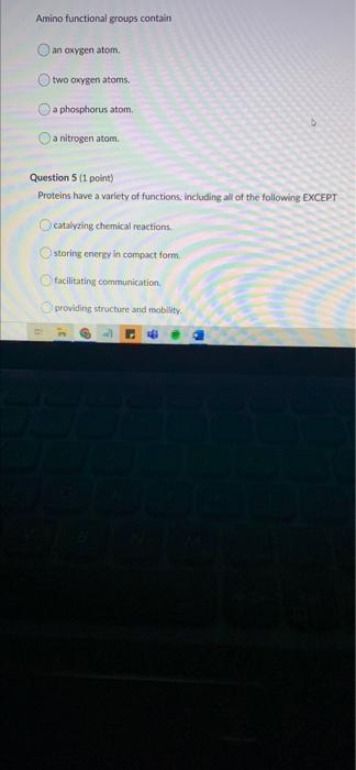 Solved Amino functional groups contain an oxygen atom. two | Chegg.com