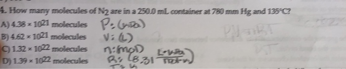 Solved L How many molecules of N2 are in a 250.0 mL | Chegg.com