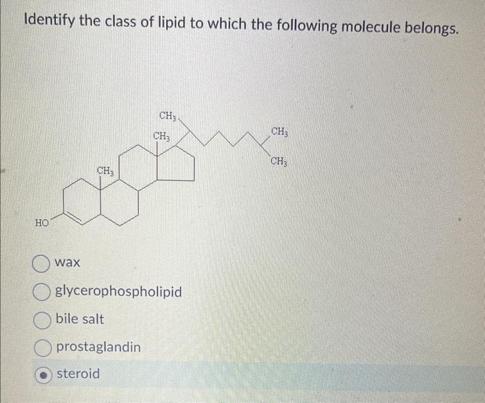 Solved Identify the class of lipid to which the following | Chegg.com