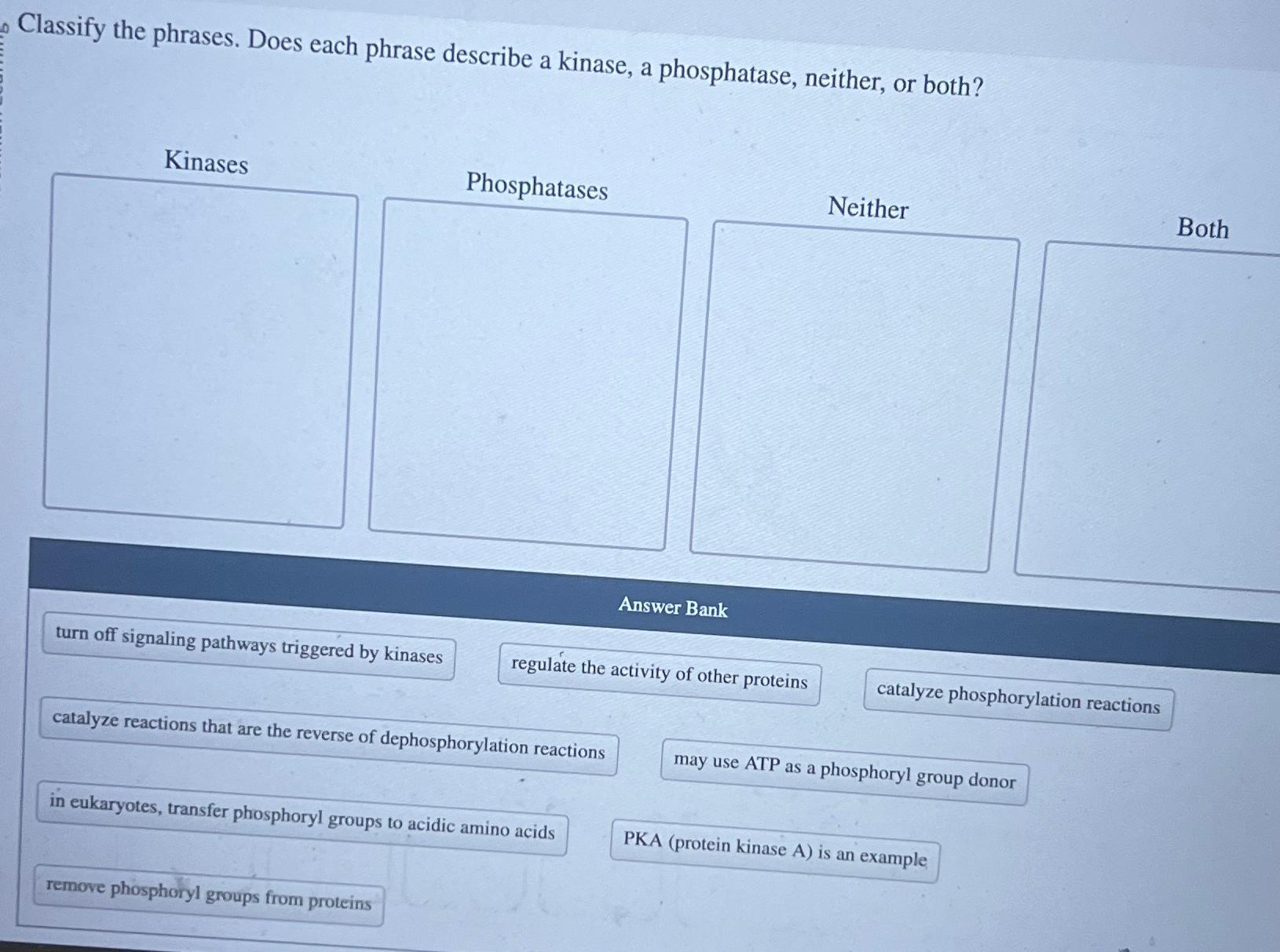 Solved Classify the phrases. Does each phrase describe a | Chegg.com