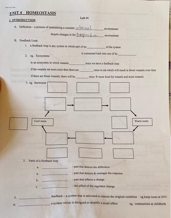 Solved UNIT 4 HOMEOSTASIS Lab NI 1. INTRODUCTION A. | Chegg.com