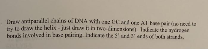 Solved Draw antiparallel chains of DNA with one GC and one | Chegg.com