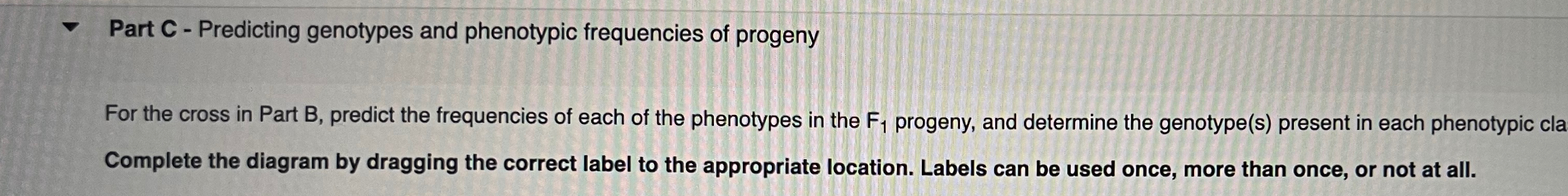 Part C - ﻿Predicting genotypes and phenotypic | Chegg.com