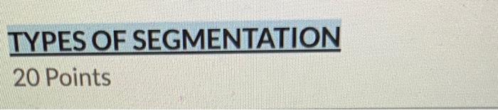 Solved TYPES OF SEGMENTATION 20 Points | Chegg.com