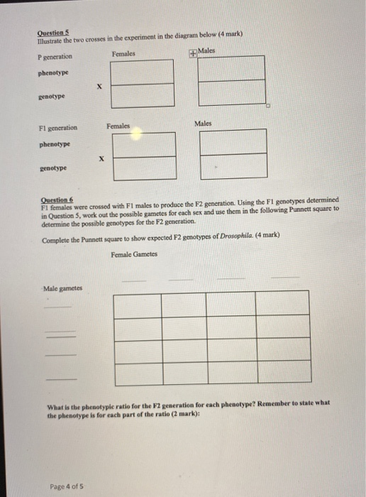 Solved Normal No Spacing Heading 1 Part 2 Inheritance in | Chegg.com