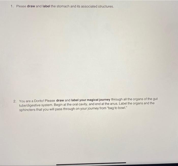 Solved 1. please draw and label the stomach and its | Chegg.com