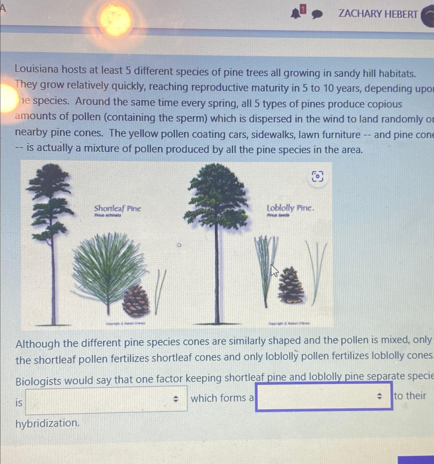 Solved Louisiana hosts at least 5 ﻿different species of pine | Chegg.com